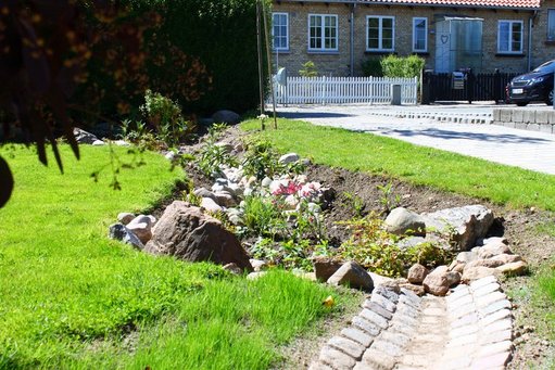 Regnvandsbed | Guide til opbygning af regnbed i haven
